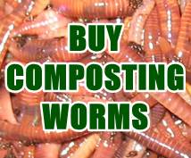 Interview with George Mingin – Kookaburra Worm Farms | Red Worm Composting